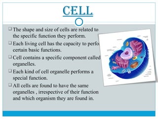 The fundamental unit of life | PPT