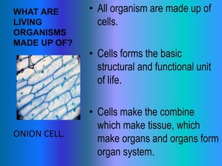 The fundamental unit of life | PPTX