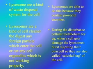 The fundamental unit of life | PPTX