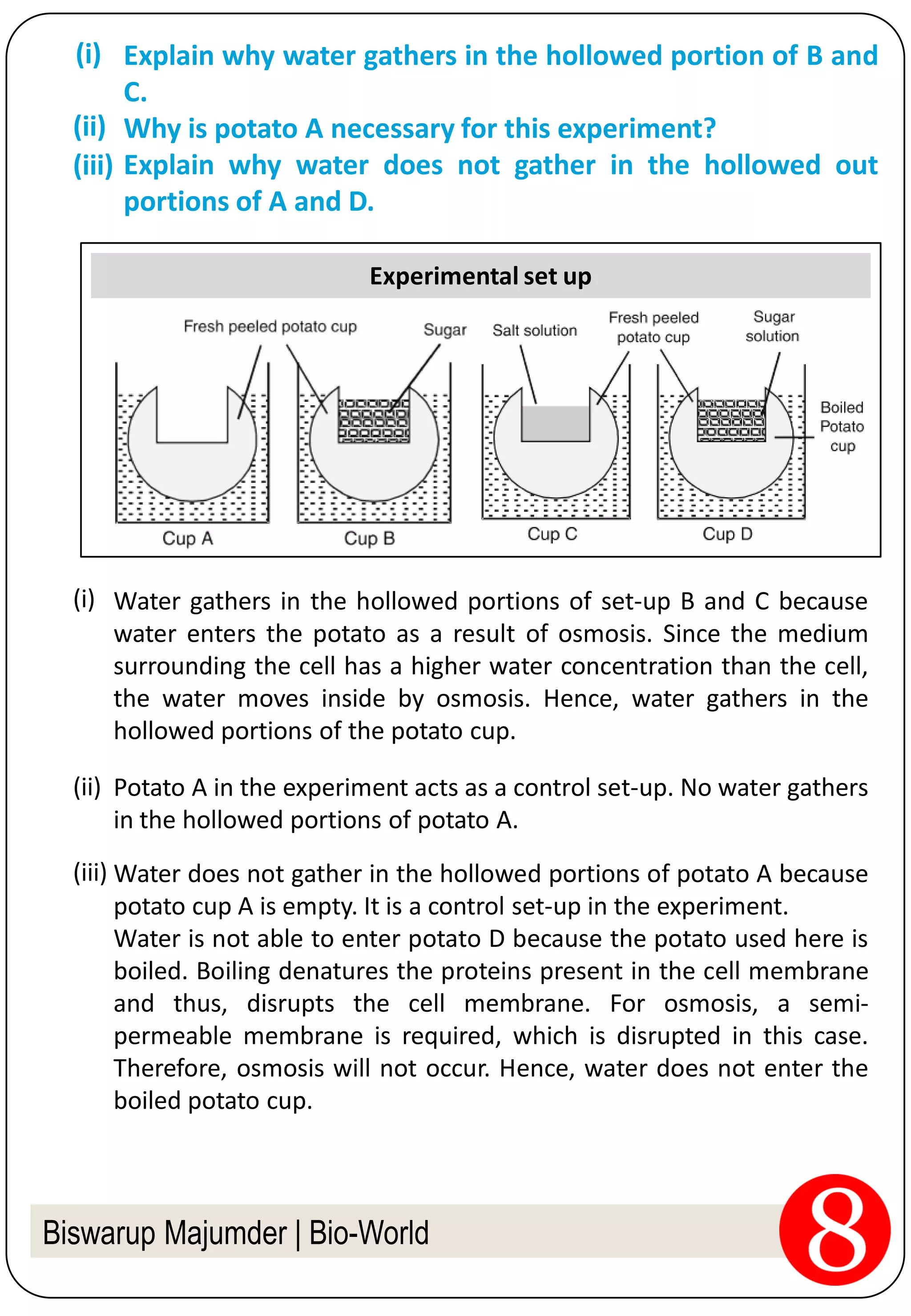 NCERT Solutions | Class IX | Science (Biology) | Chapter 5 | The ...