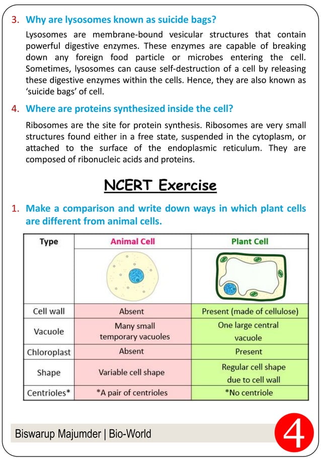 NCERT Solutions | Class IX | Science (Biology) | Chapter 5 | The ...