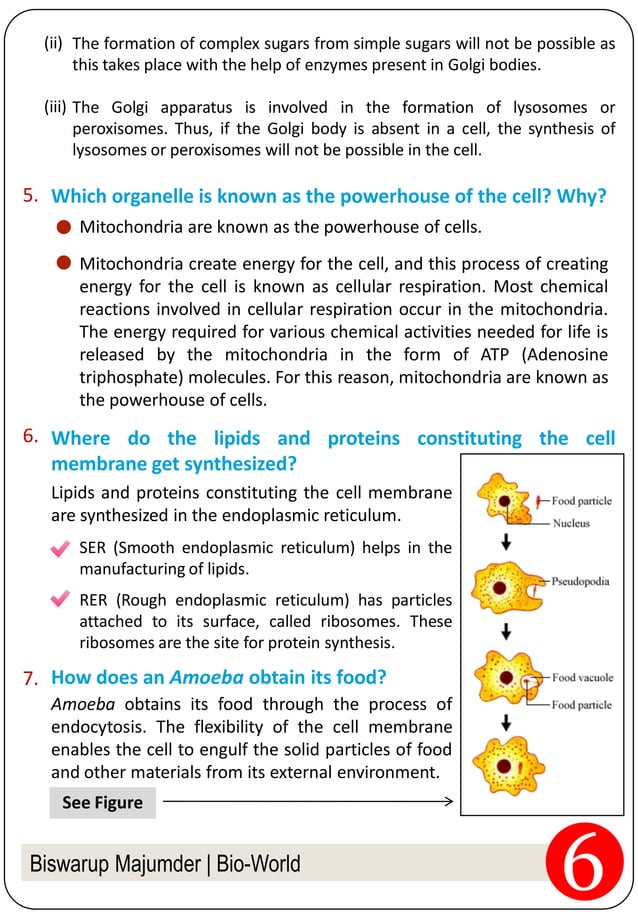 NCERT Solutions | Class IX | Science (Biology) | Chapter 5 | The ...
