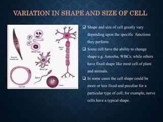 The fundamental unit of life | PPT