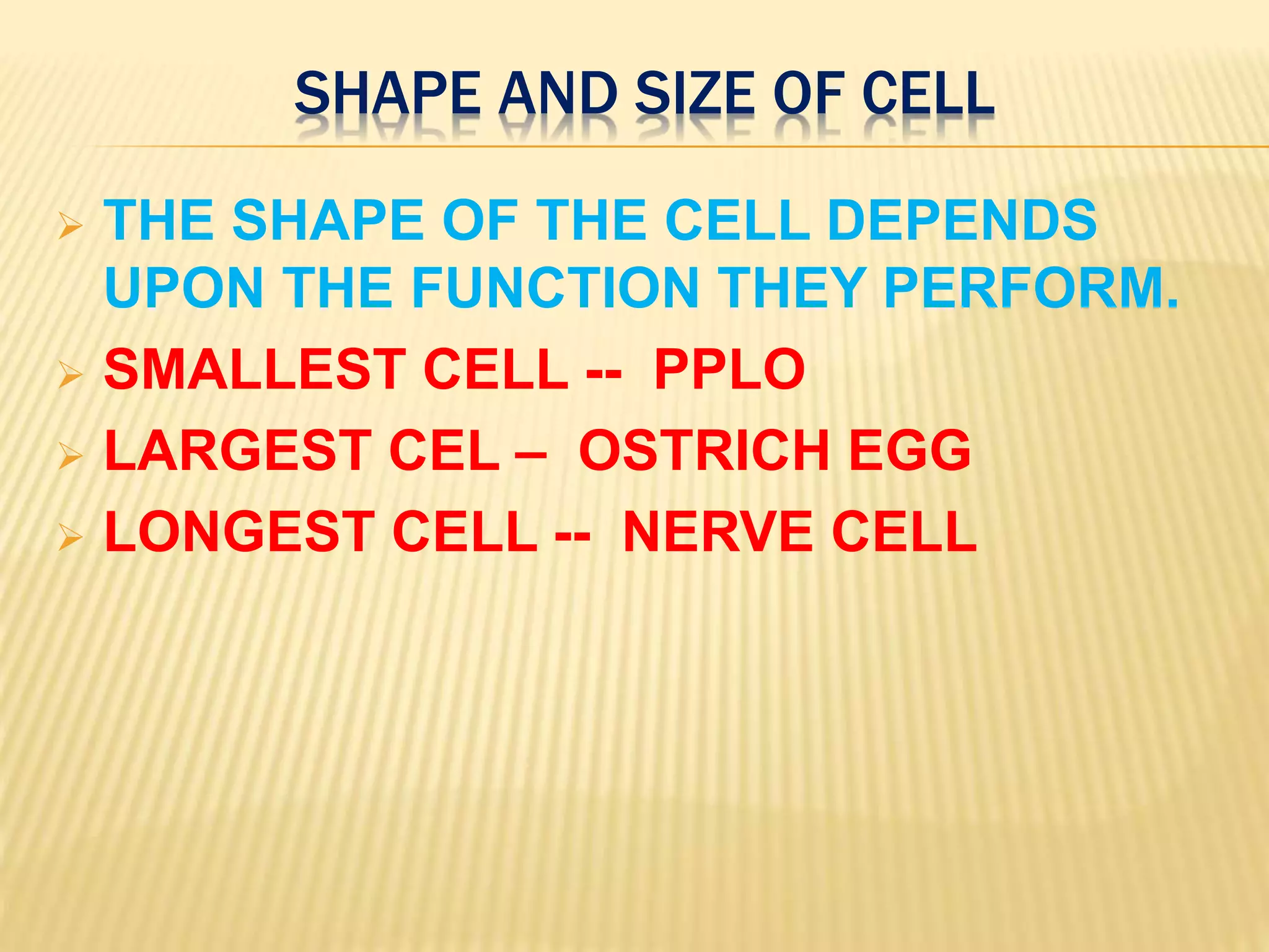 The fundamental unit of life | PPTX