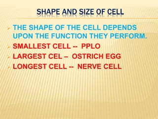 The fundamental unit of life | PPTX