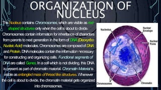 thefundamentalunitoflife-211007051124.pptx