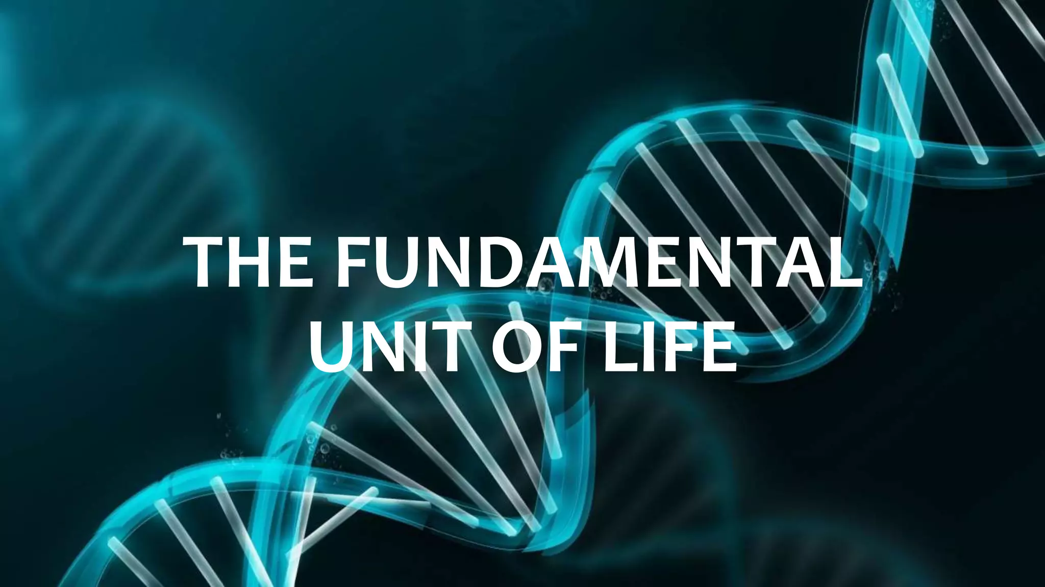 The Fundamental Unit Of Life Class - 9 | PPTX