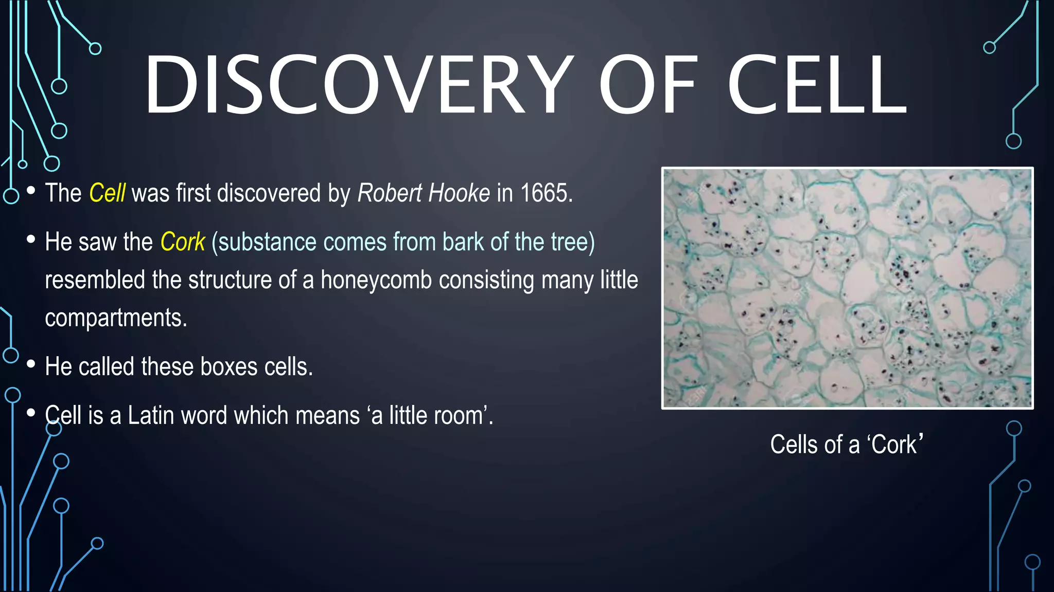 The Fundamental Unit Of Life Class - 9 | PPTX