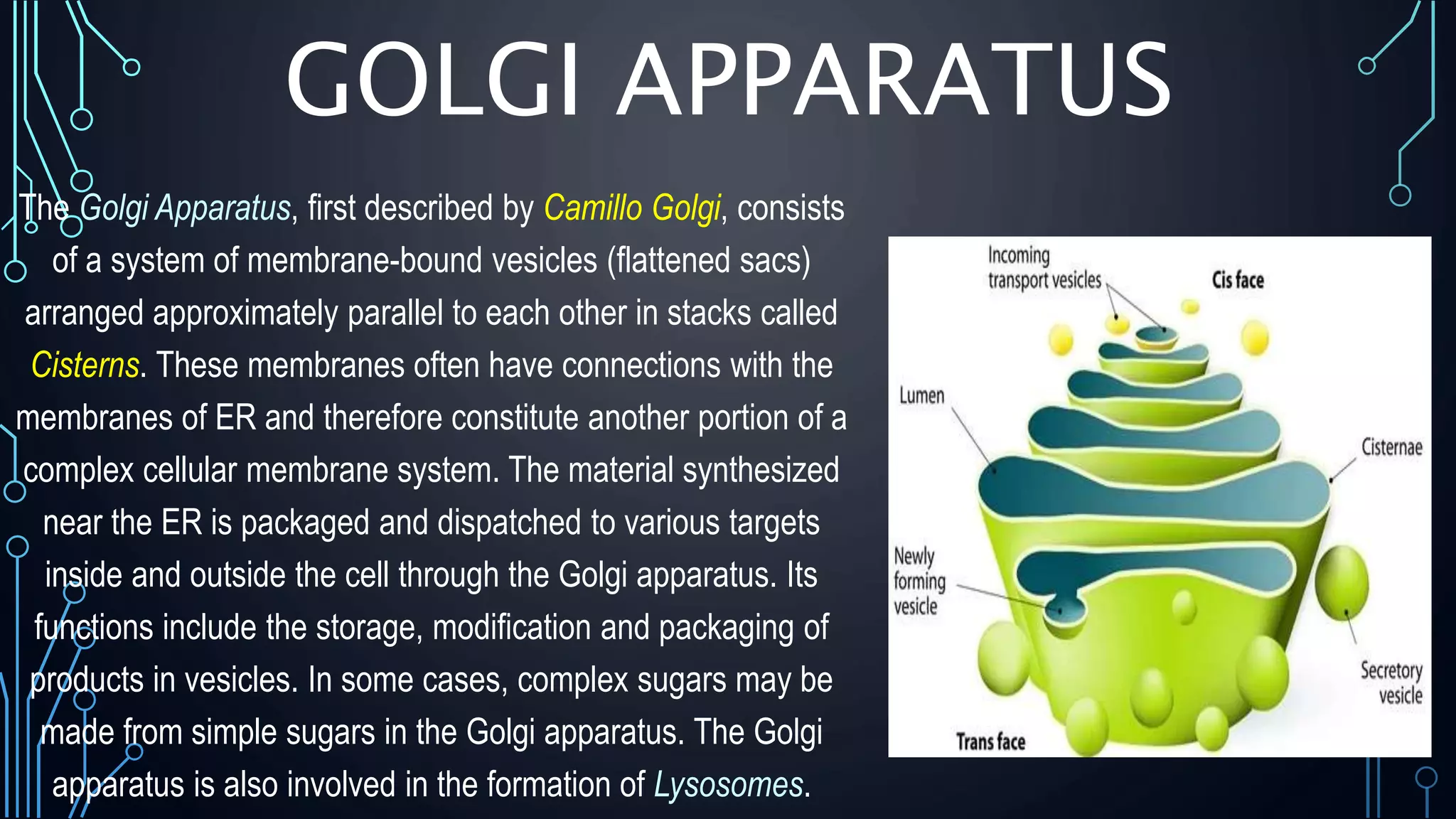The Fundamental Unit Of Life Class - 9 | PPTX