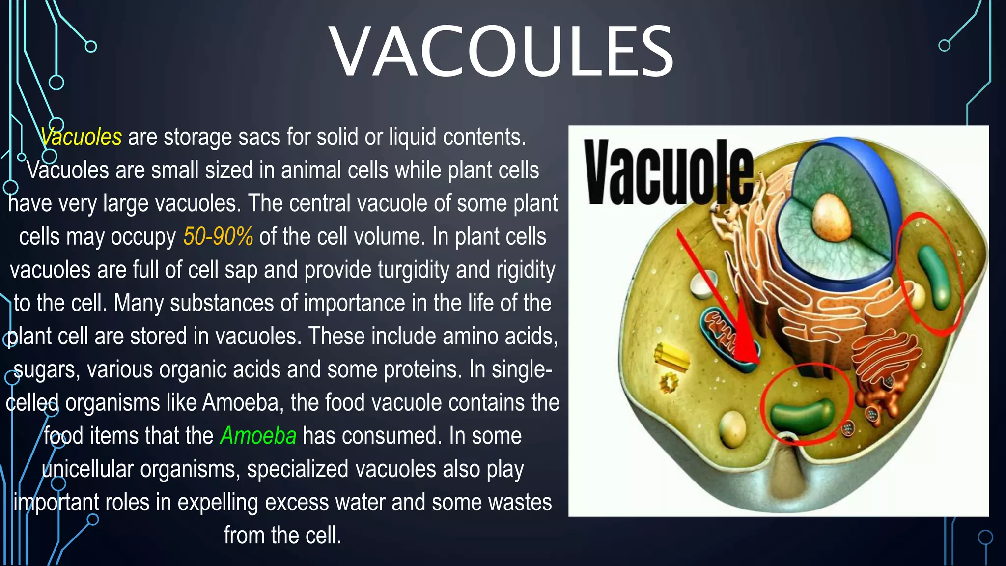 The Fundamental Unit Of Life Class - 9 | PPTX