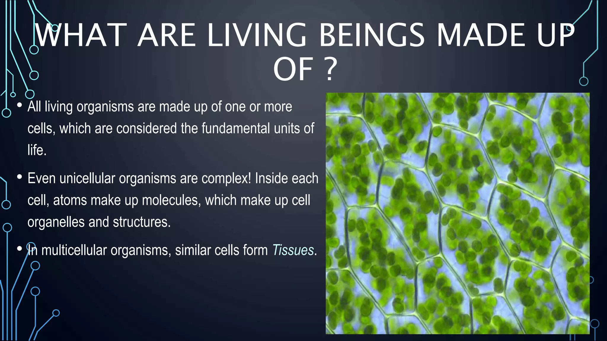 The Fundamental Unit Of Life Class - 9 | PPTX
