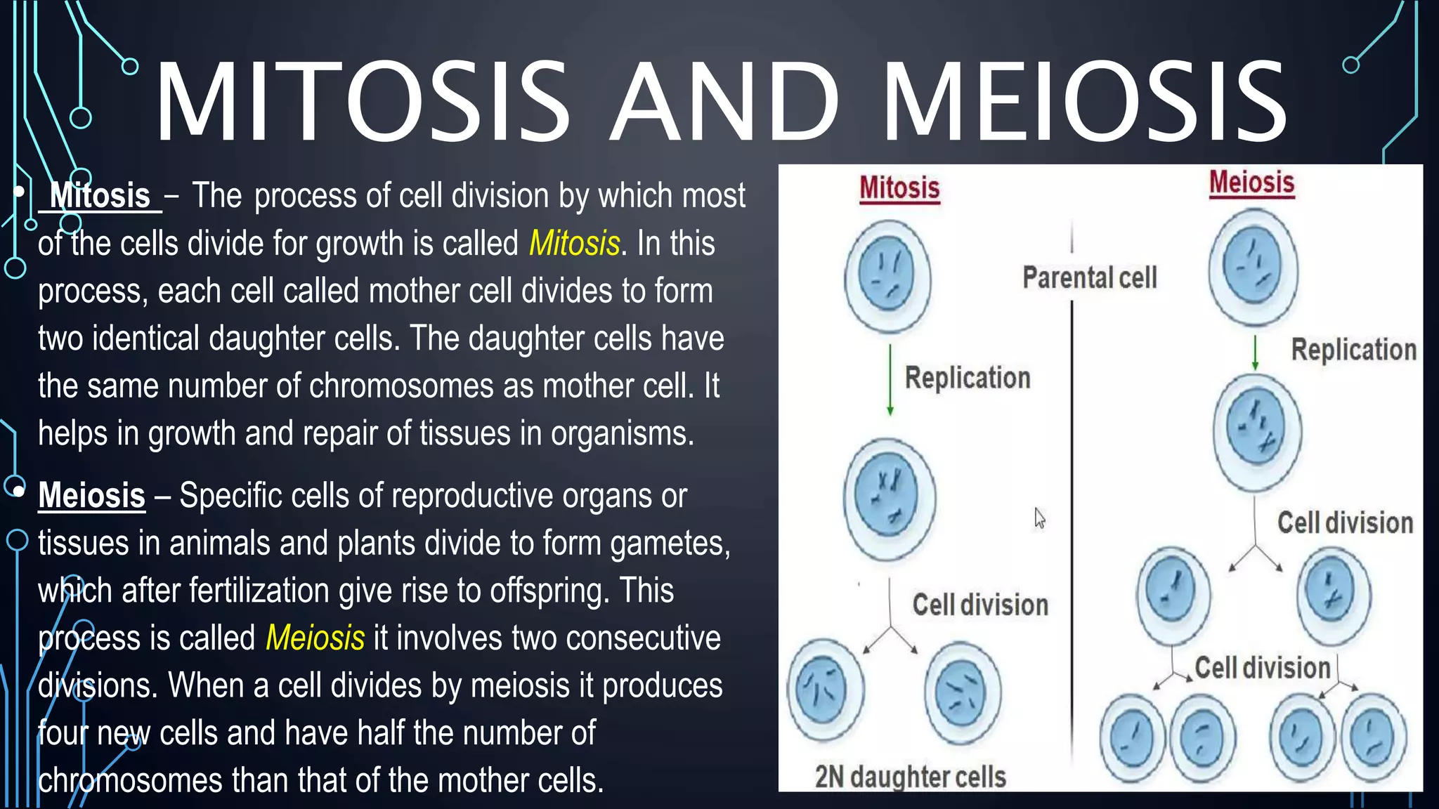 The Fundamental Unit Of Life Class - 9 | PPTX
