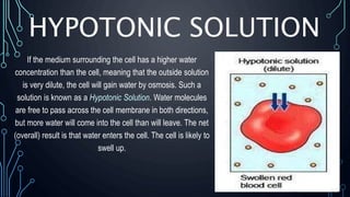 The Fundamental Unit Of Life Class - 9 | PPTX