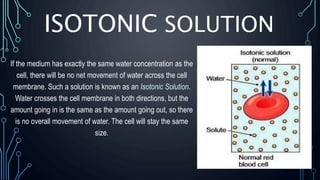 The Fundamental Unit Of Life Class - 9 | PPTX