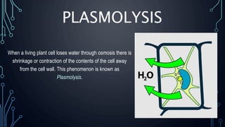 The Fundamental Unit Of Life Class - 9 | PPTX