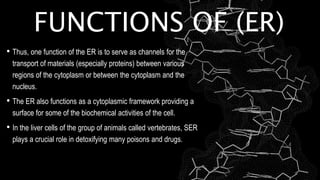 The Fundamental Unit Of Life Class - 9 | PPTX