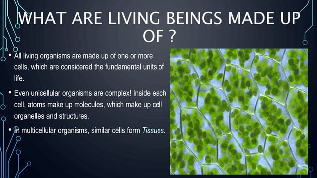 The Fundamental Unit Of Life Class - 9 | PPTX | Biological Sciences ...