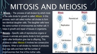 The Fundamental Unit Of Life Class - 9 | PPTX
