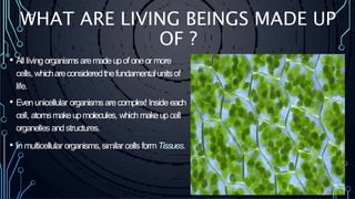 thefundamentalunitoflife-211007051124 (1).pptx