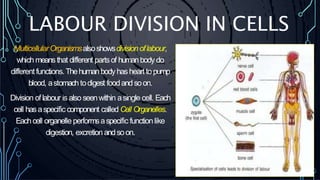 thefundamentalunitoflife-211007051124 (1).pptx