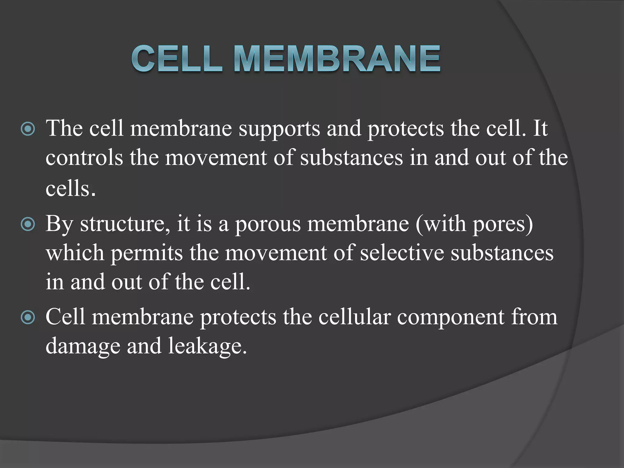 The Fundamental Unit Of Life.pptx