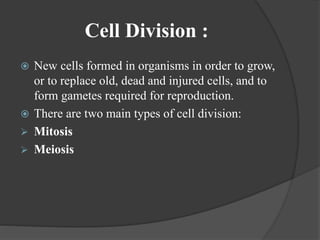 The Fundamental Unit Of Life.pptx