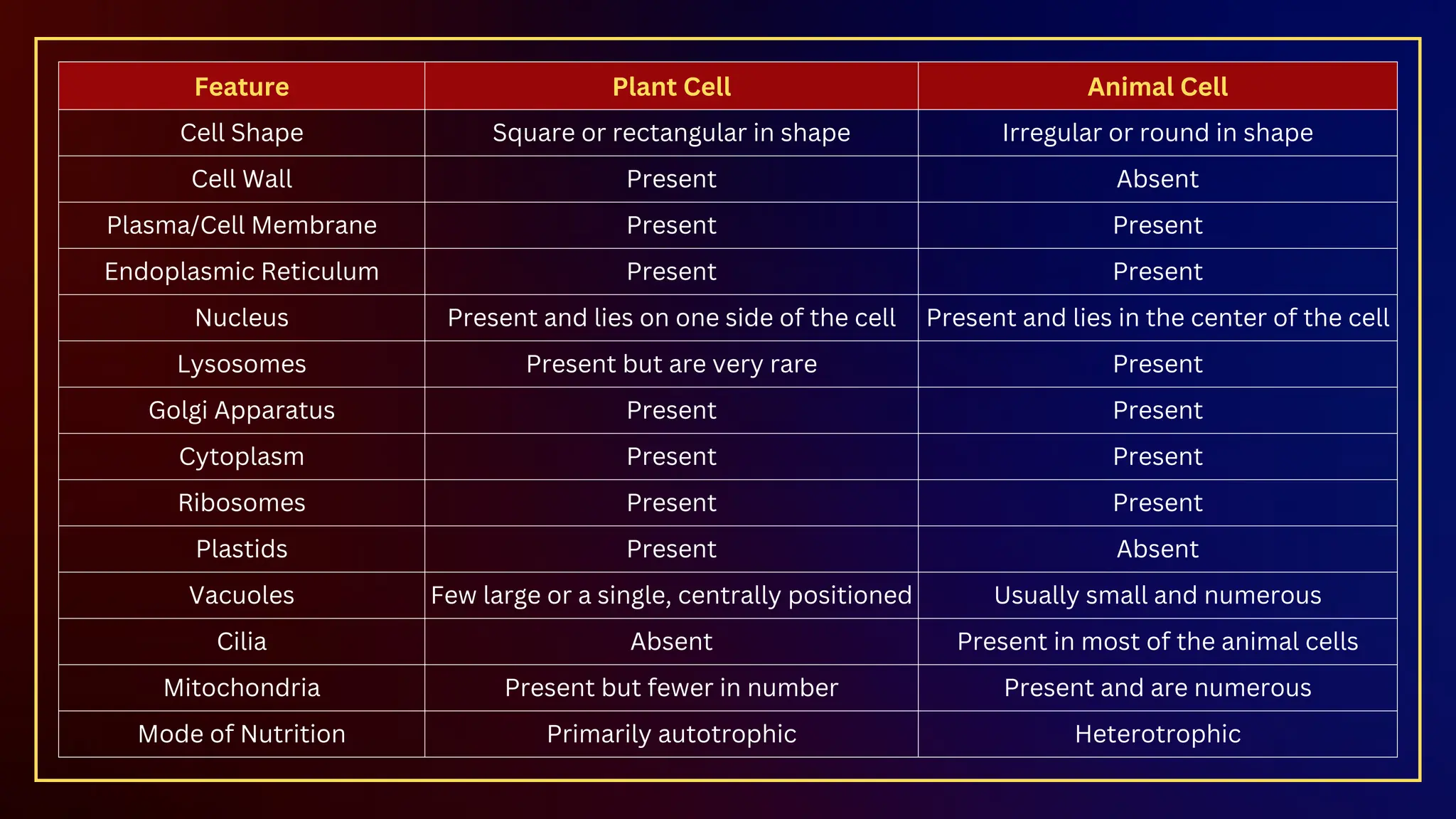 Class 9 The Fundamental Unit of Life.pdf