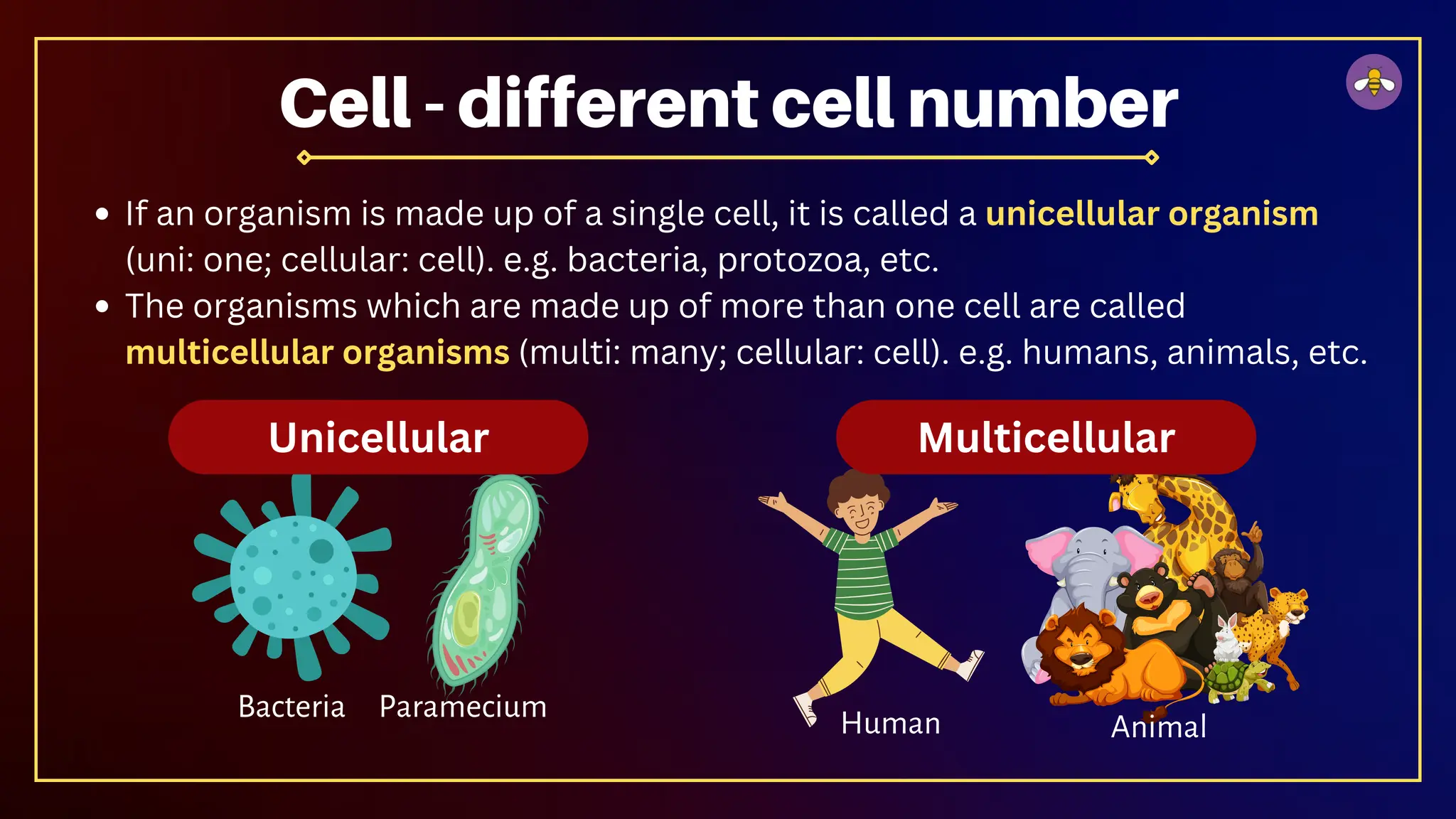 Class 9 The Fundamental Unit of Life.pdf