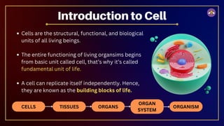 Class 9 The Fundamental Unit of Life.pdf