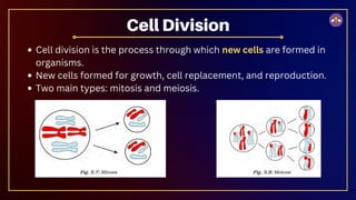 Class 9 The Fundamental Unit of Life.pdf