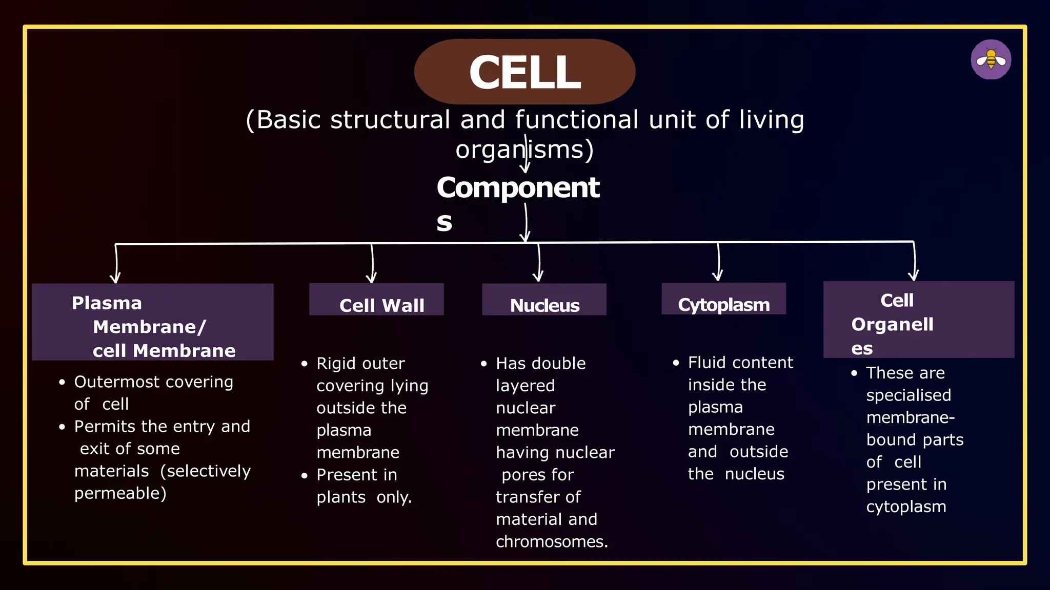 The Fundamental Unit of Life (Prashant Kirad).pptx