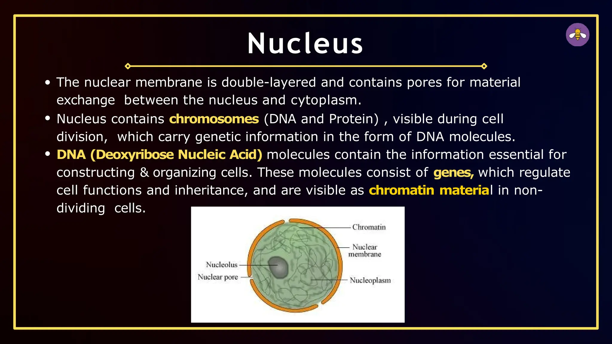 The Fundamental Unit of Life (Prashant Kirad).pptx