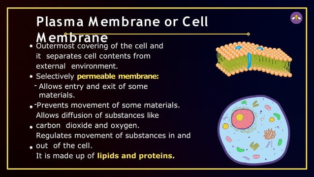 The Fundamental Unit of Life (Prashant Kirad).pptx | Biological ...