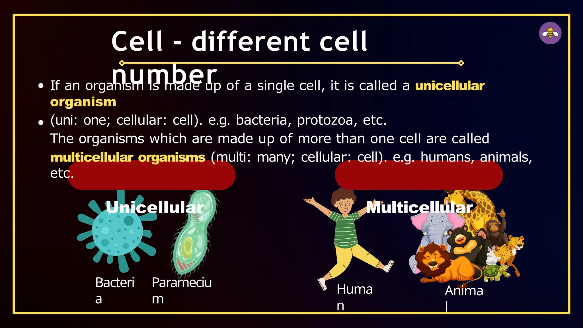 The Fundamental Unit of Life (Prashant Kirad).pptx