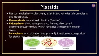 The Fundamental Unit of Life (Prashant Kirad).pptx