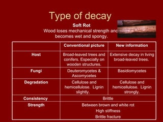 The Fungal Decay Of Wood 1 1 | PPT
