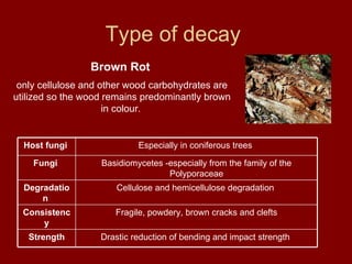 The Fungal Decay Of Wood 1 1 | PPT