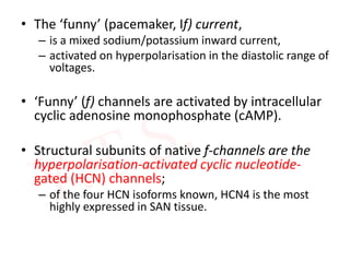 The funny current | PPTX