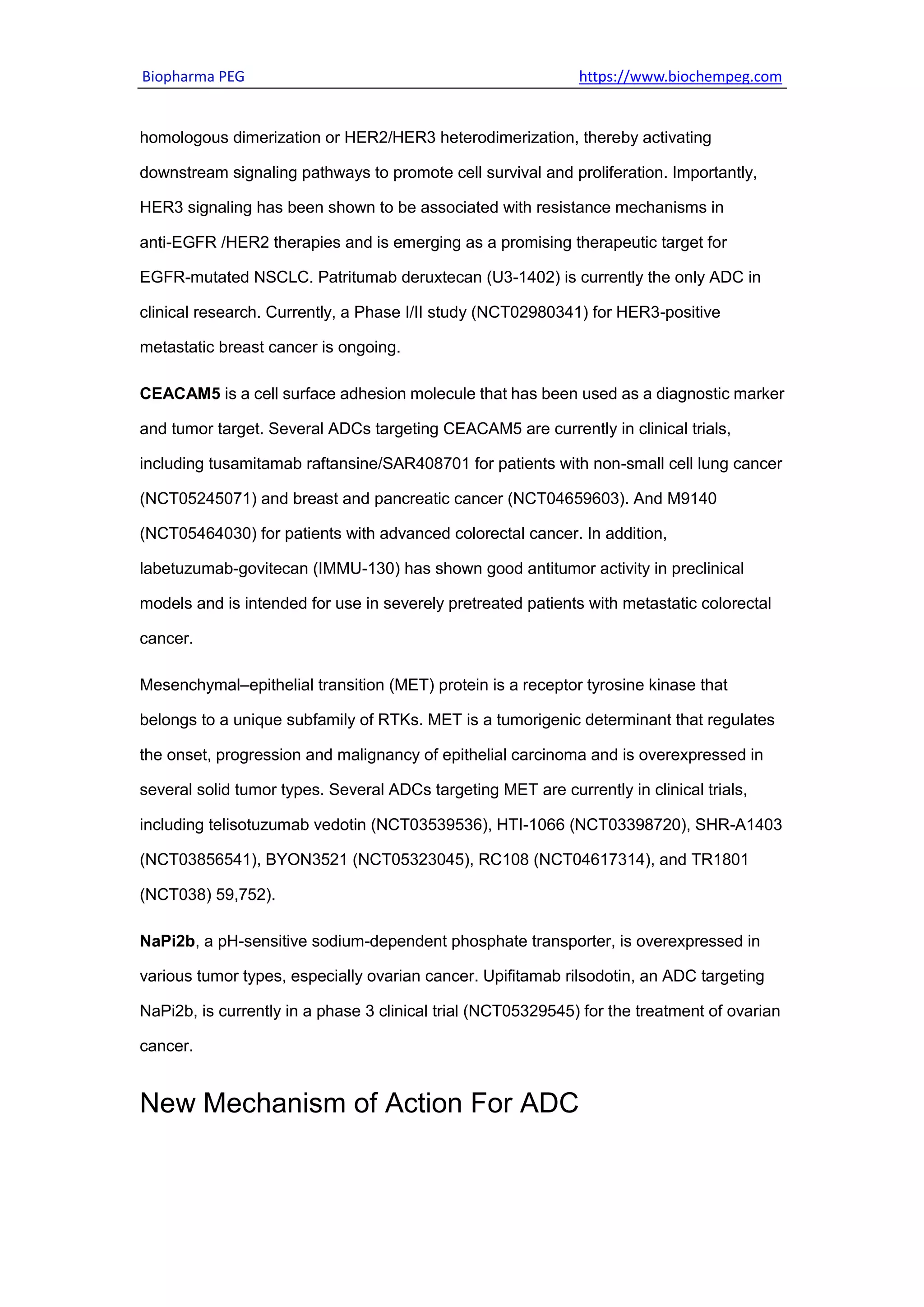 The Future Development of ADC For Cancer.pdf