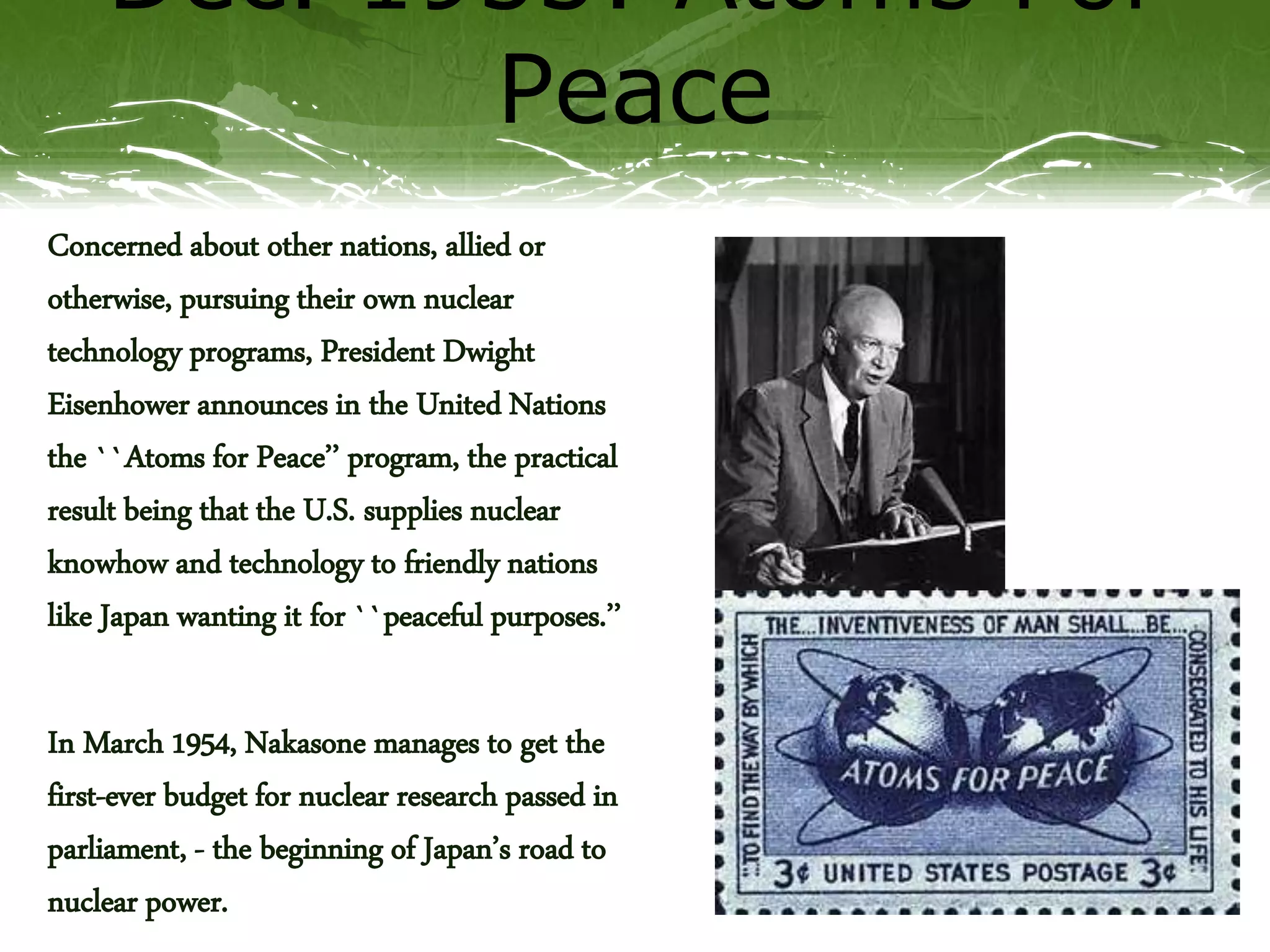 The Future of Nuclear Power in Japan(3/2014) | PPTX