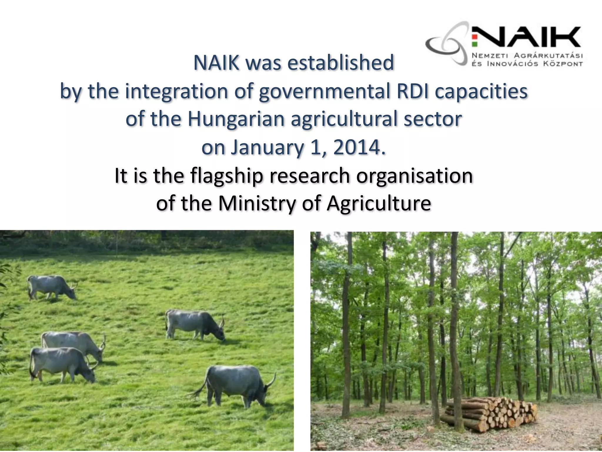 The future of demand-led research and innovation | PPT