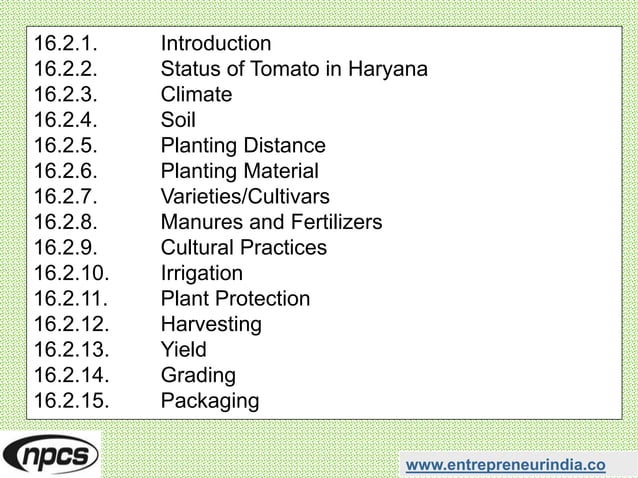 The Future of Farming: Hydroponic Greenhouse Farming. Starting a ...