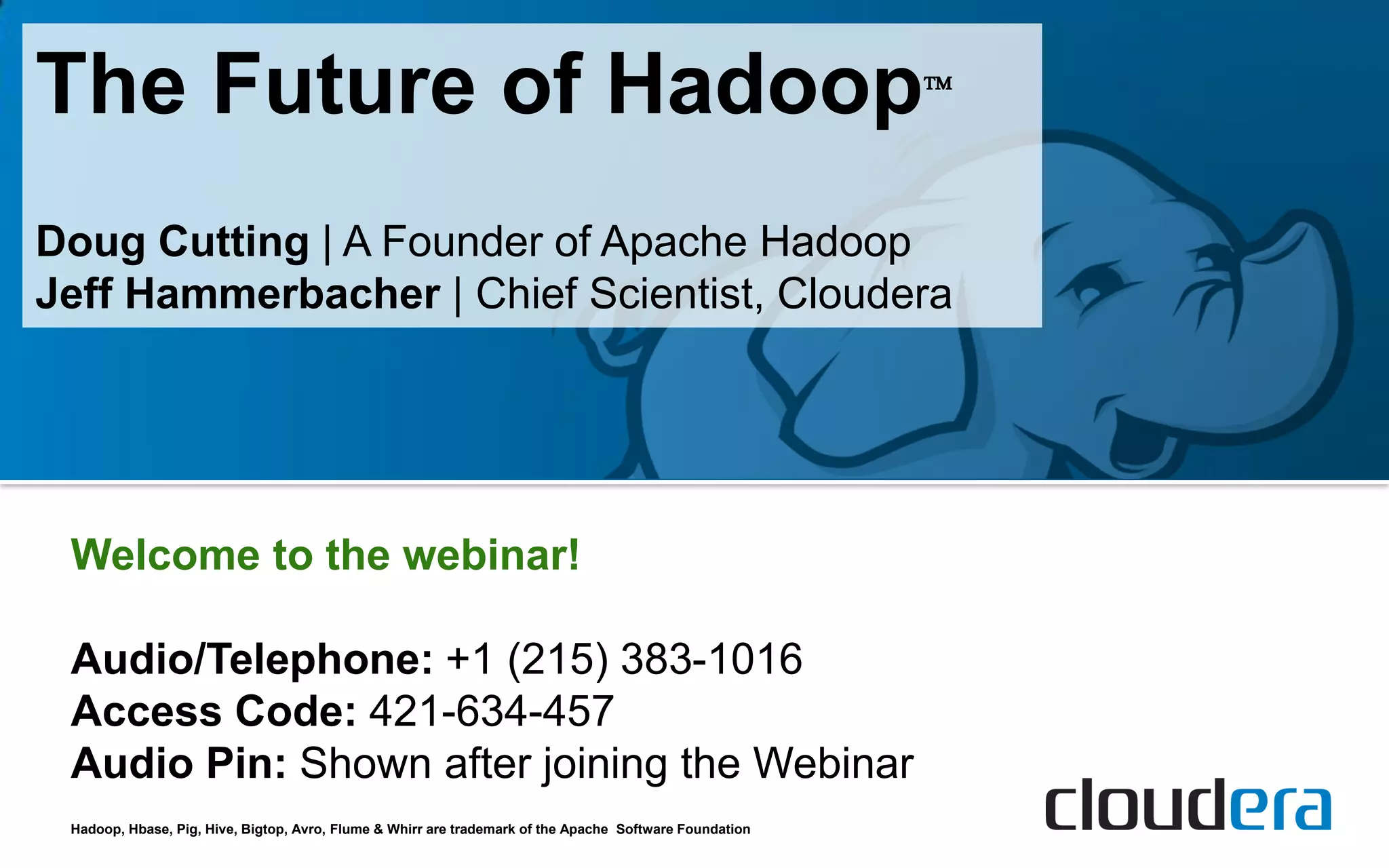 Webinar: The Future of Hadoop | PDF