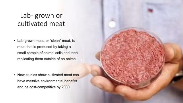 The future of meat | PPT