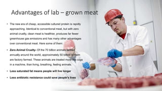 The future of meat | PPTX