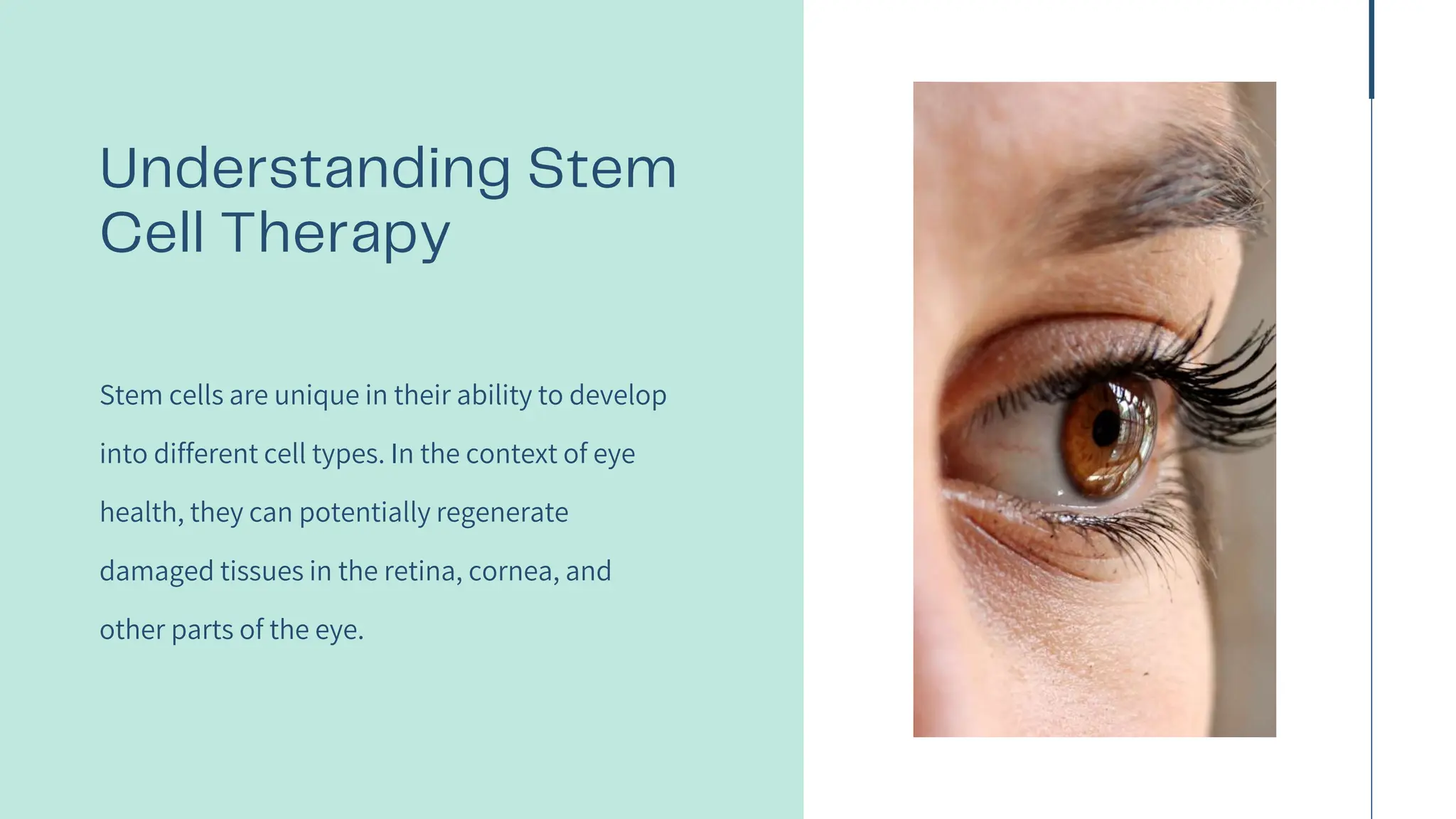 The Future of Ophthalmology: Dr. David Greene's Stem Cell Vision ...