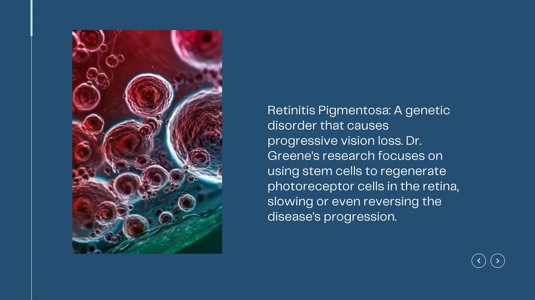 The Future of Ophthalmology: Dr. David Greene's Stem Cell Vision ...