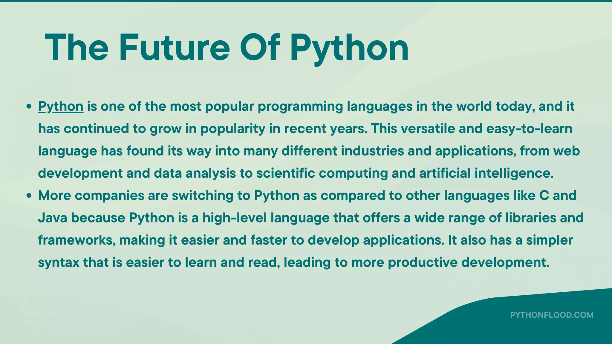 The future of Python.pdf