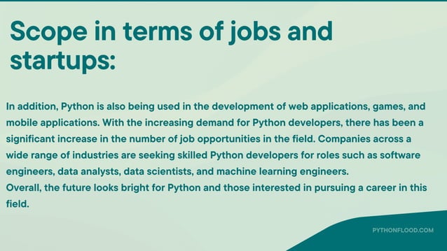 The future of Python.pdf