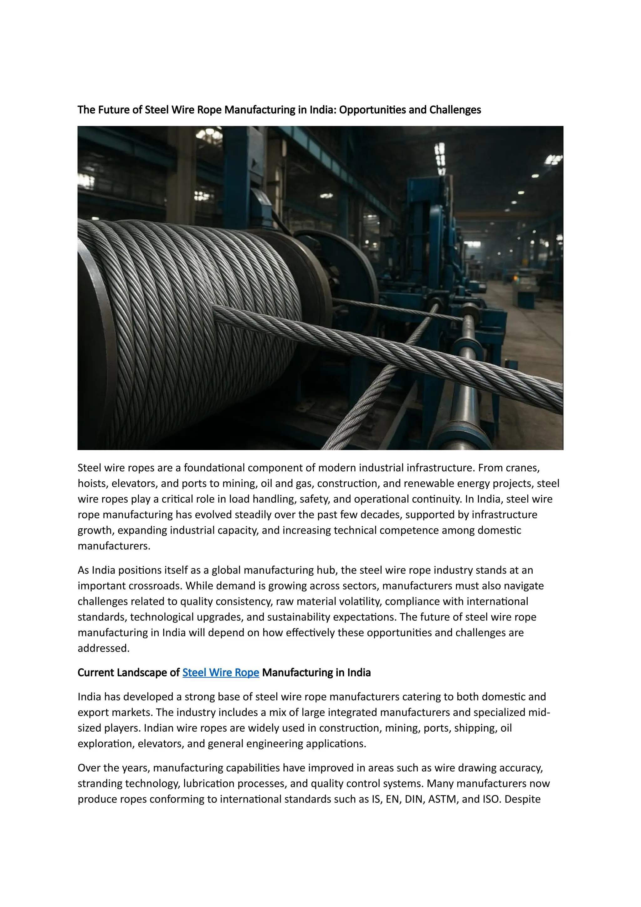 The Future of Steel Wire Rope Manufacturing in India: Opportunities and Challenges | DOCX